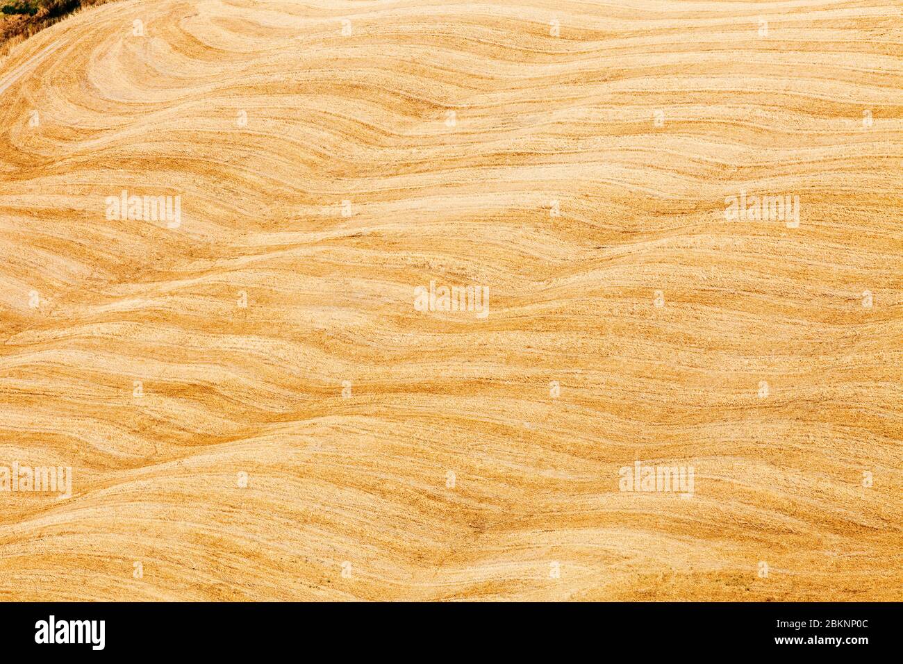 Italy, Tuscany, Le Crete, Crete Senesi - Rolling Hills and Dunes Stock ...