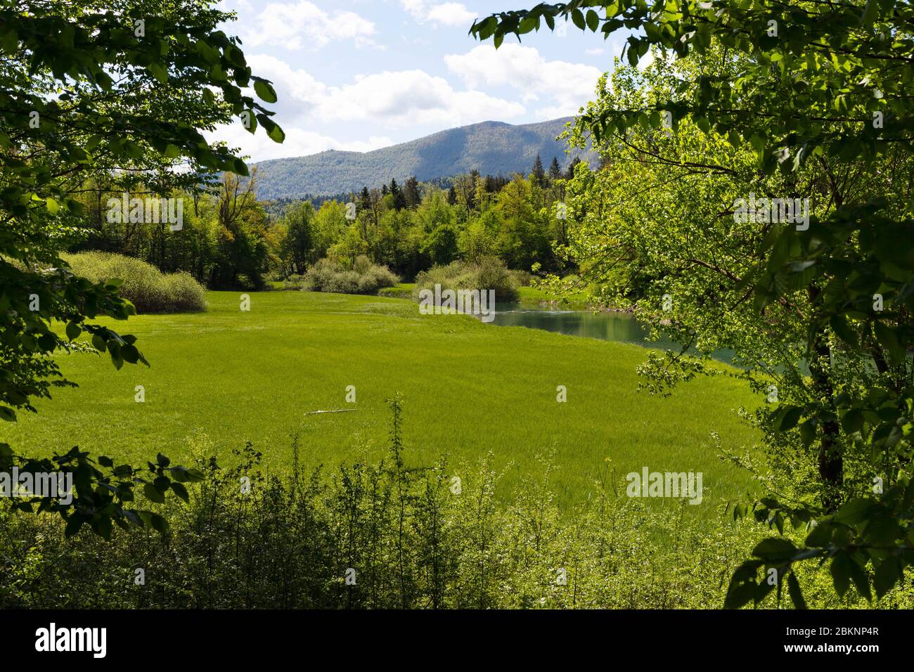 Rakov škocjan, slovenia, europe Stock Photo - Alamy