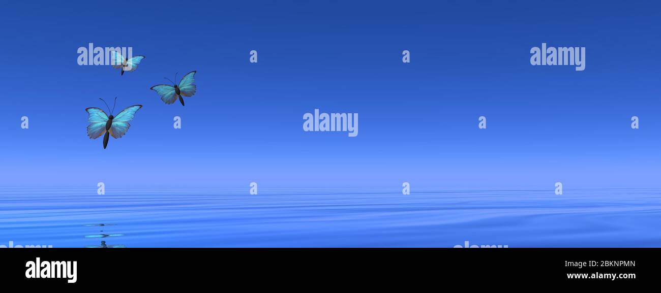 Blue butterflies flying to the horizon - 3D render Stock Photo - Alamy