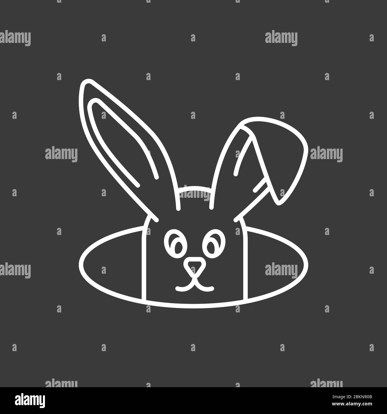 Rabbit icon vector, design on background, Rabbit Logo for your design ...