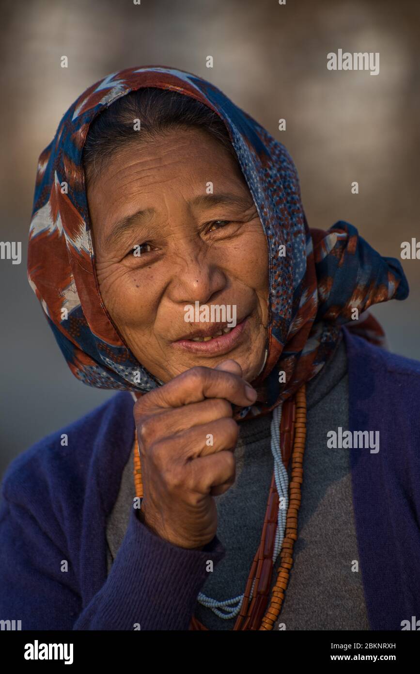 Close-up portrait of older Indian lady bathed in evening light ...