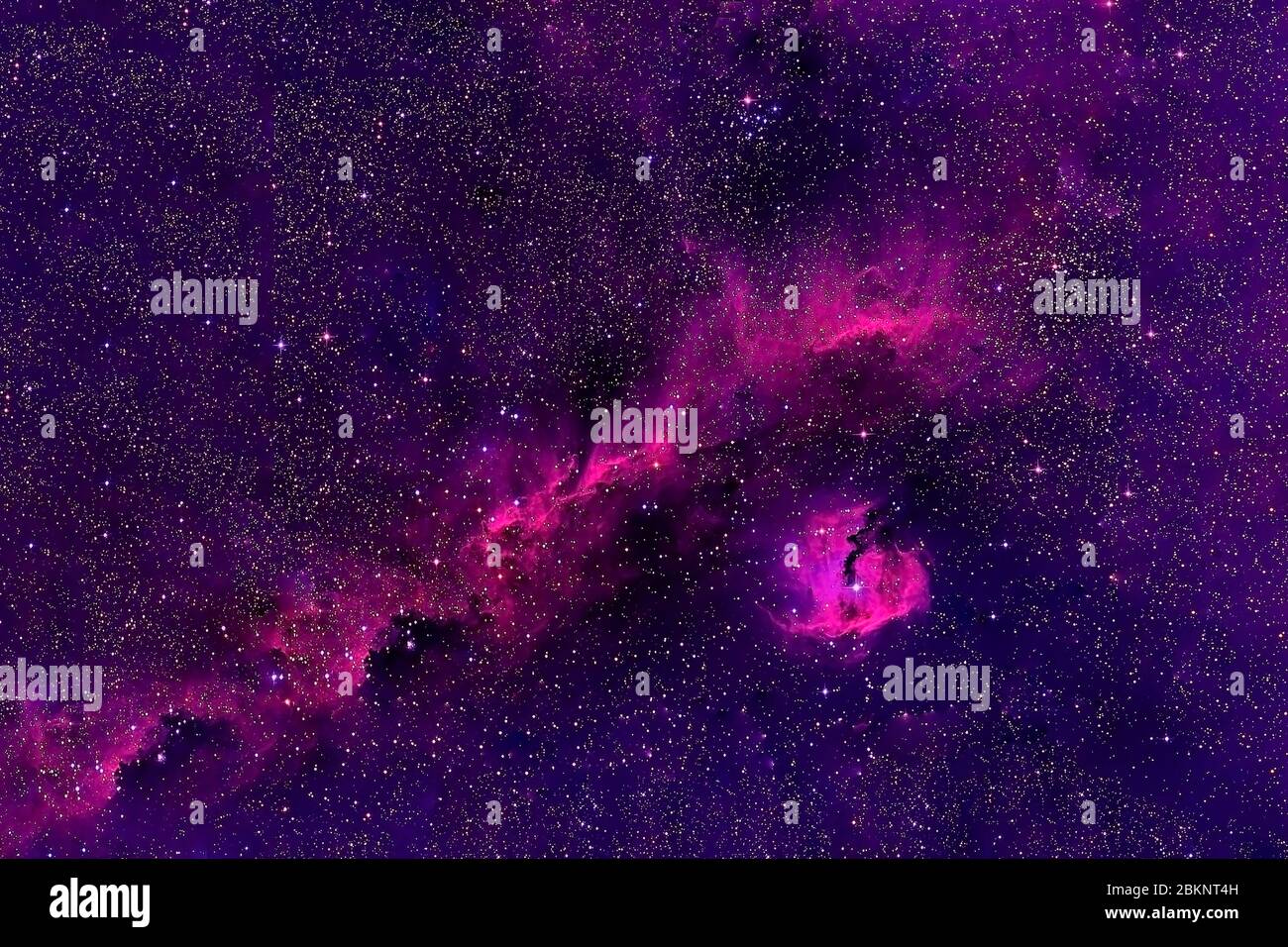 A pink galaxy in deep space. Elements of this image were furnished by ...