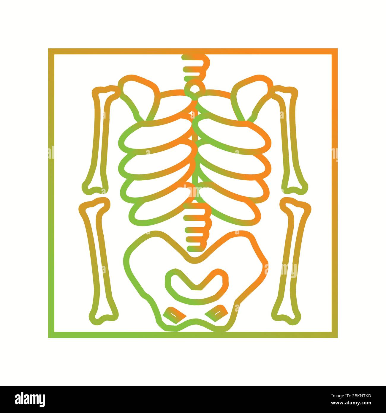 Beautiful skeleton Stock Vector Images - Alamy
