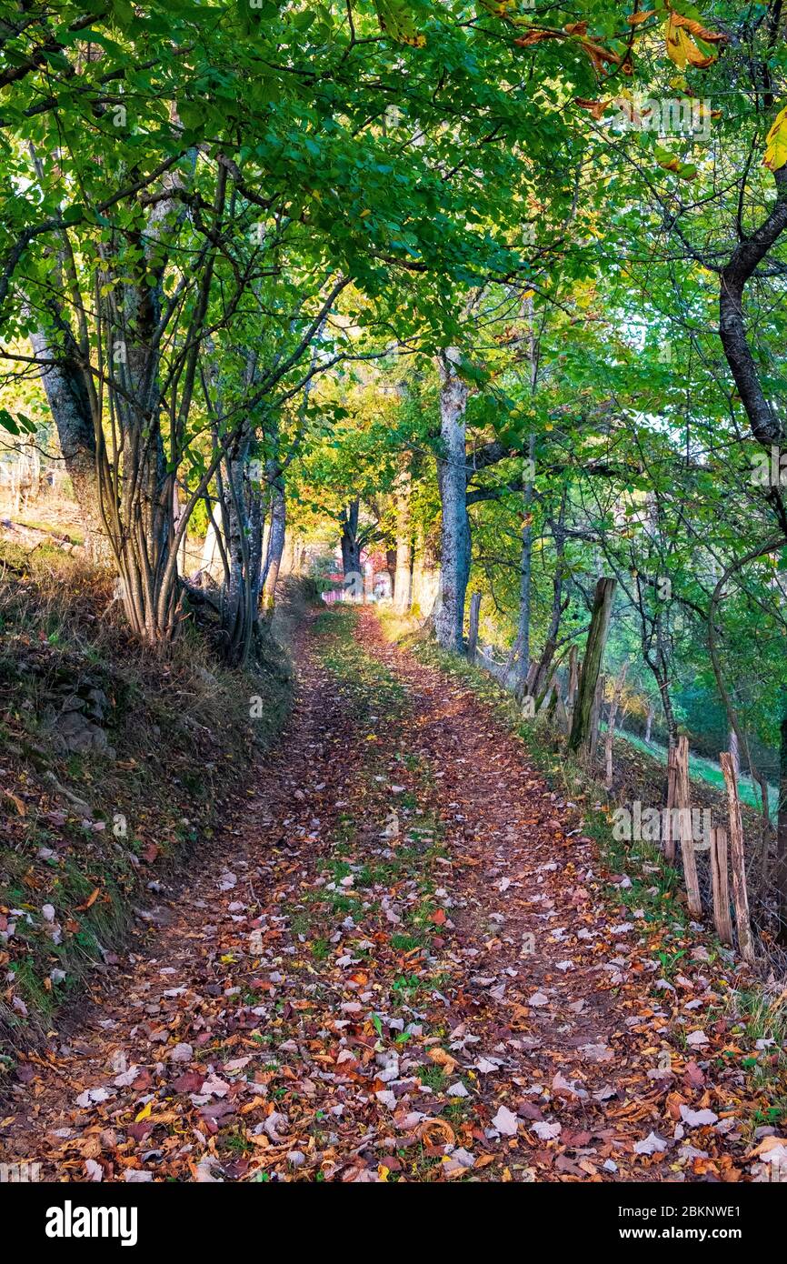 Country path fence hi-res stock photography and images - Alamy