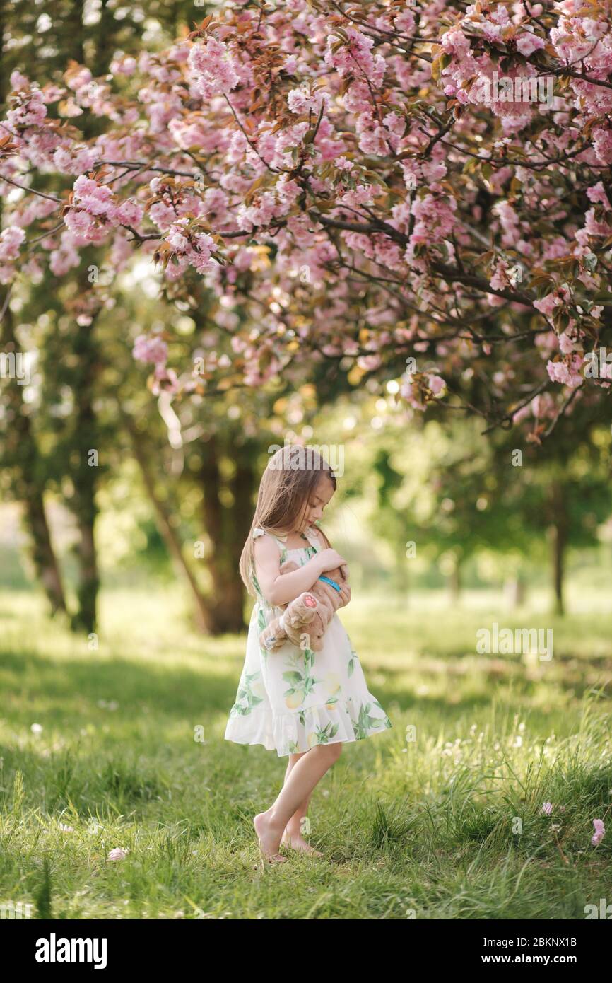 Little girl walking on the grass barefoot by the pink tree sakura in ...
