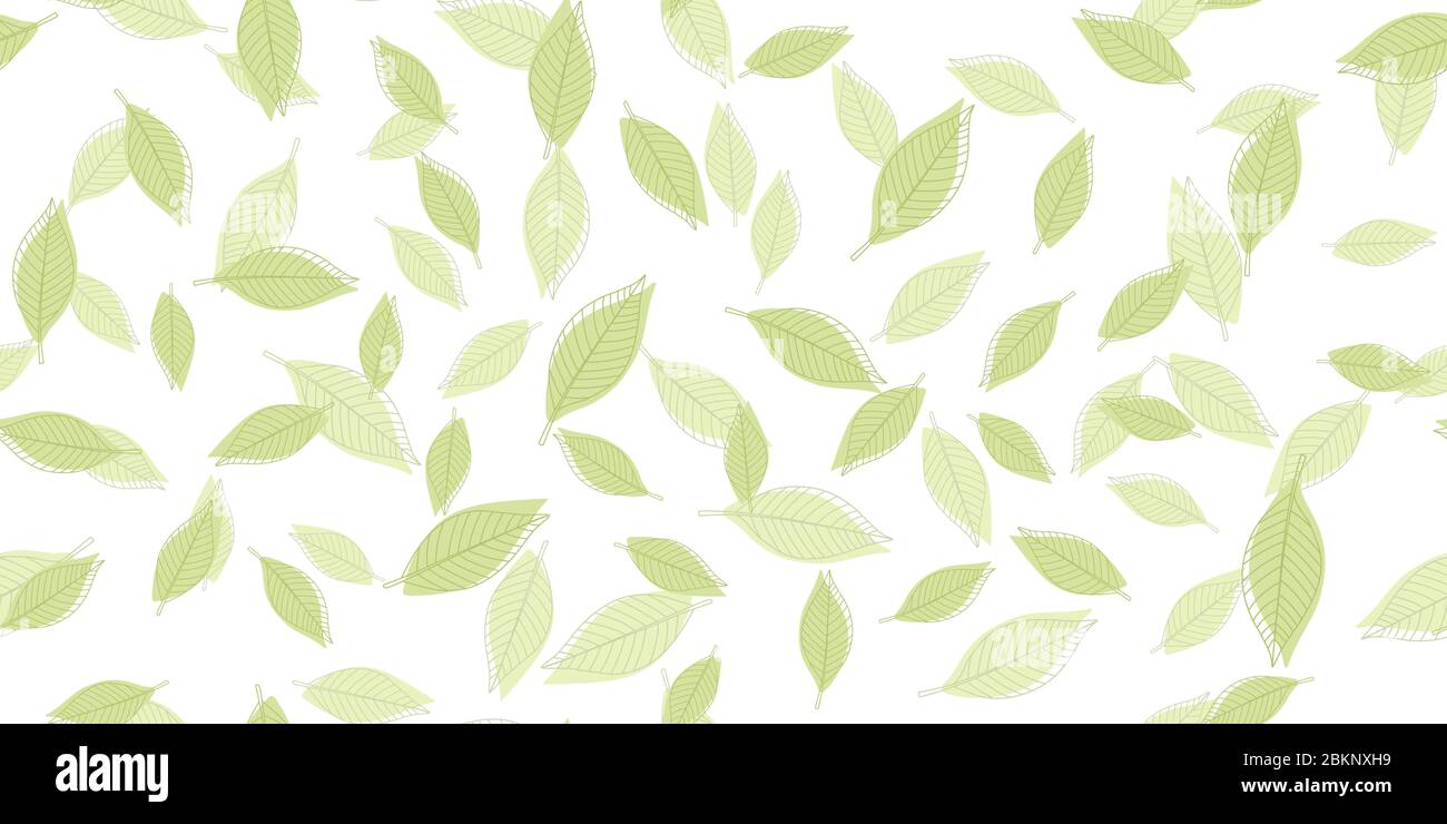 Background view green leaves Stock Vector Images - Alamy