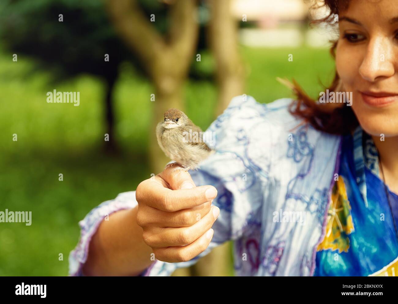 Give a hand to wildlife hi-res stock photography and images - Alamy