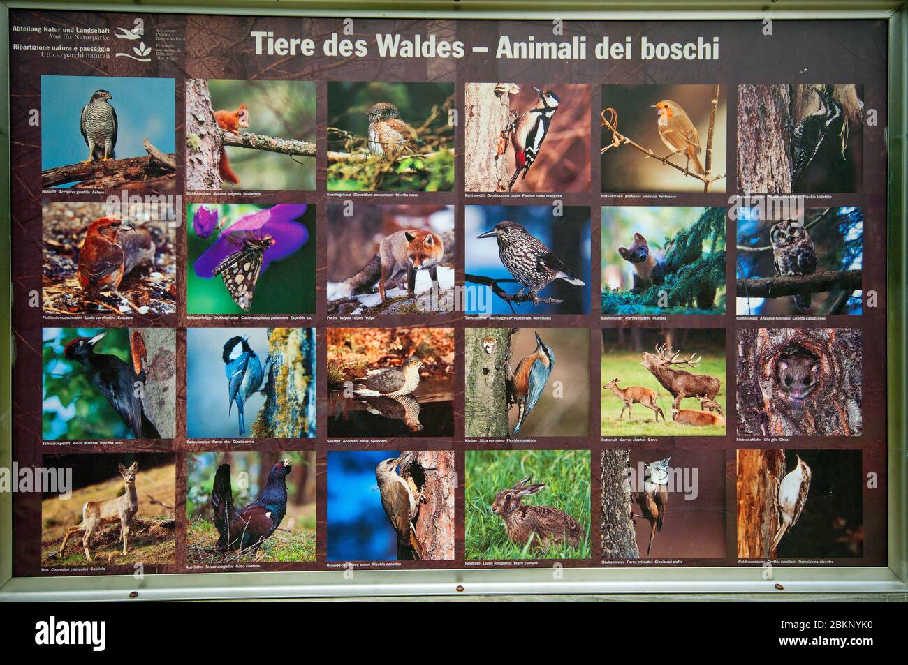 Fauna signs hi-res stock photography and images - Alamy