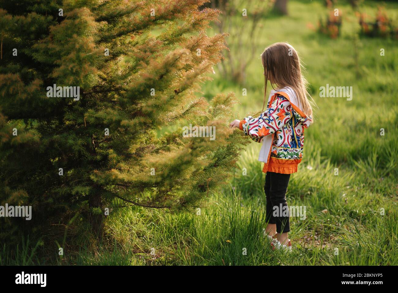 Side of little girl stand by big pine tree Stock Photo - Alamy