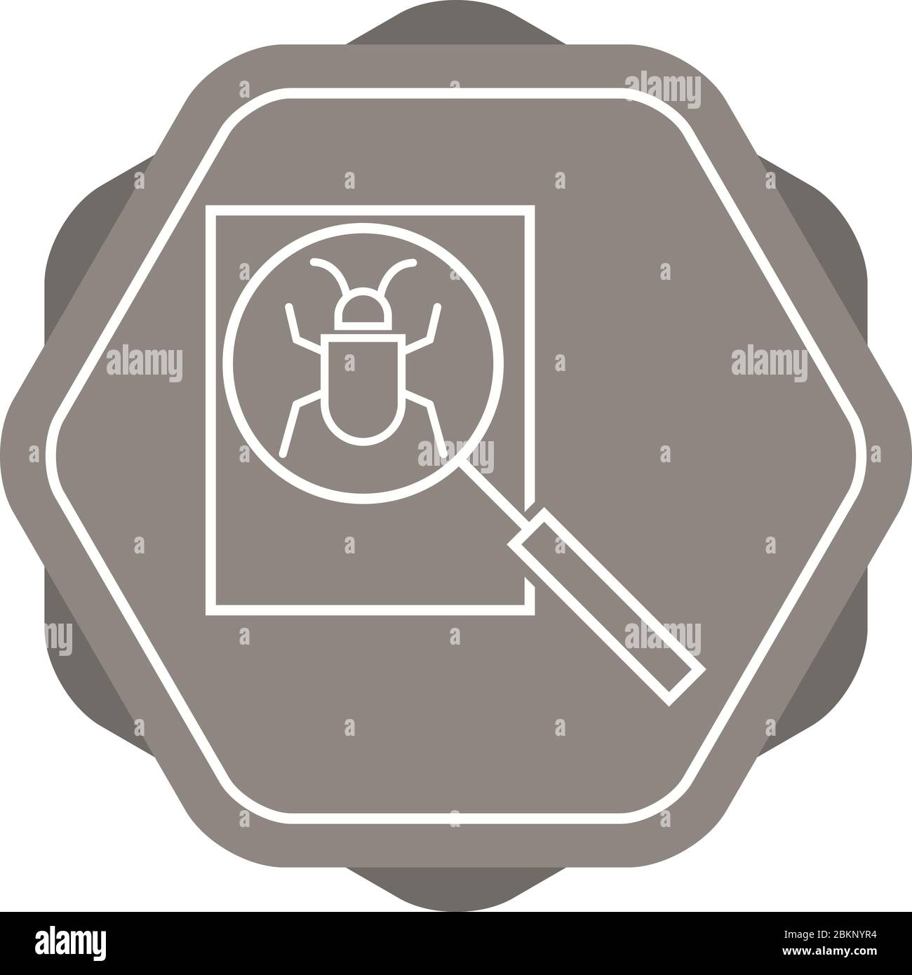 Beautiful detect Bug vector line icon Stock Vector Image & Art - Alamy