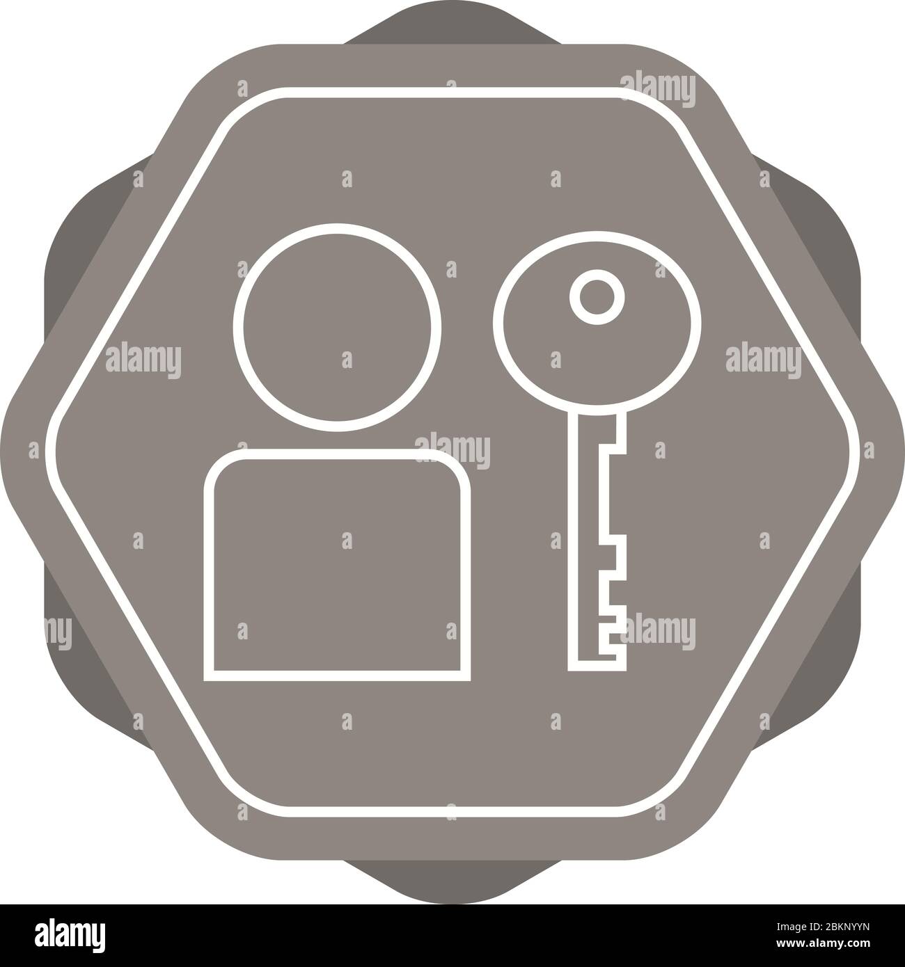 Beautiful Authentication vector line icon Stock Vector Image & Art - Alamy