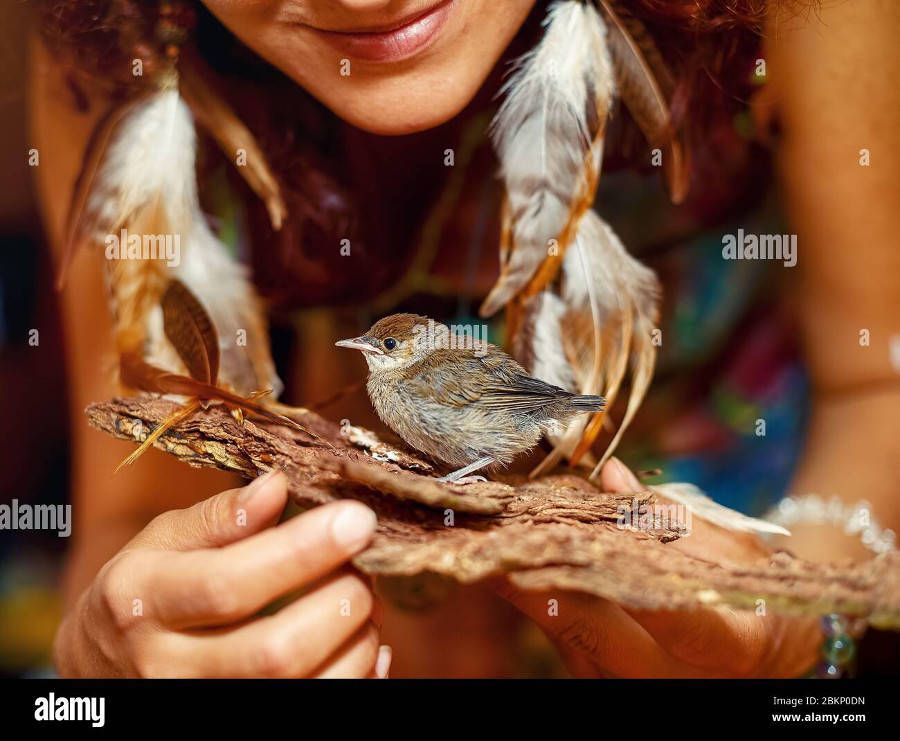 Give a hand to wildlife hi-res stock photography and images - Alamy