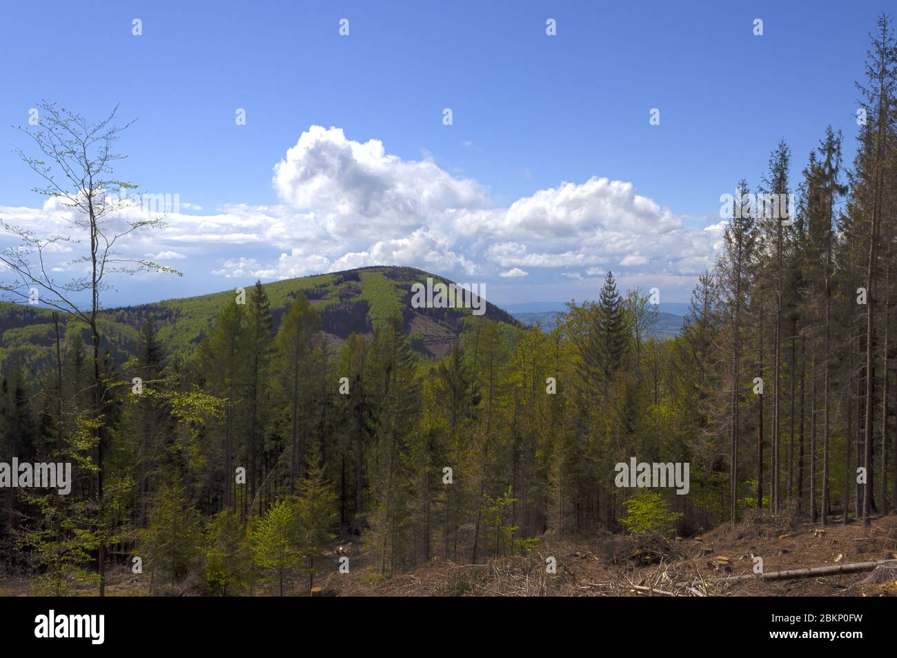 Velky hi-res stock photography and images - Alamy