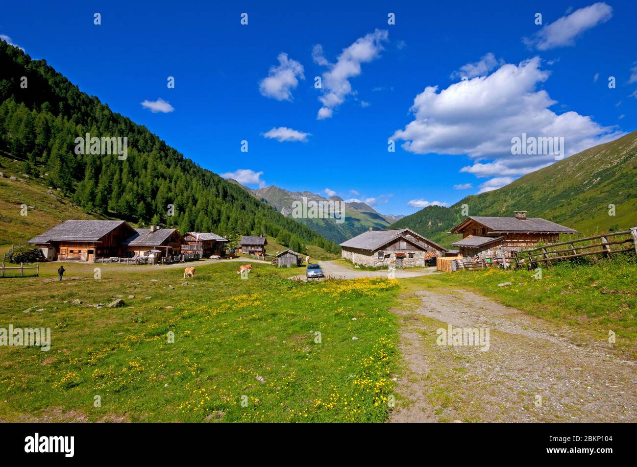 Cicciolina or ilona staller hi-res stock photography and images - Alamy