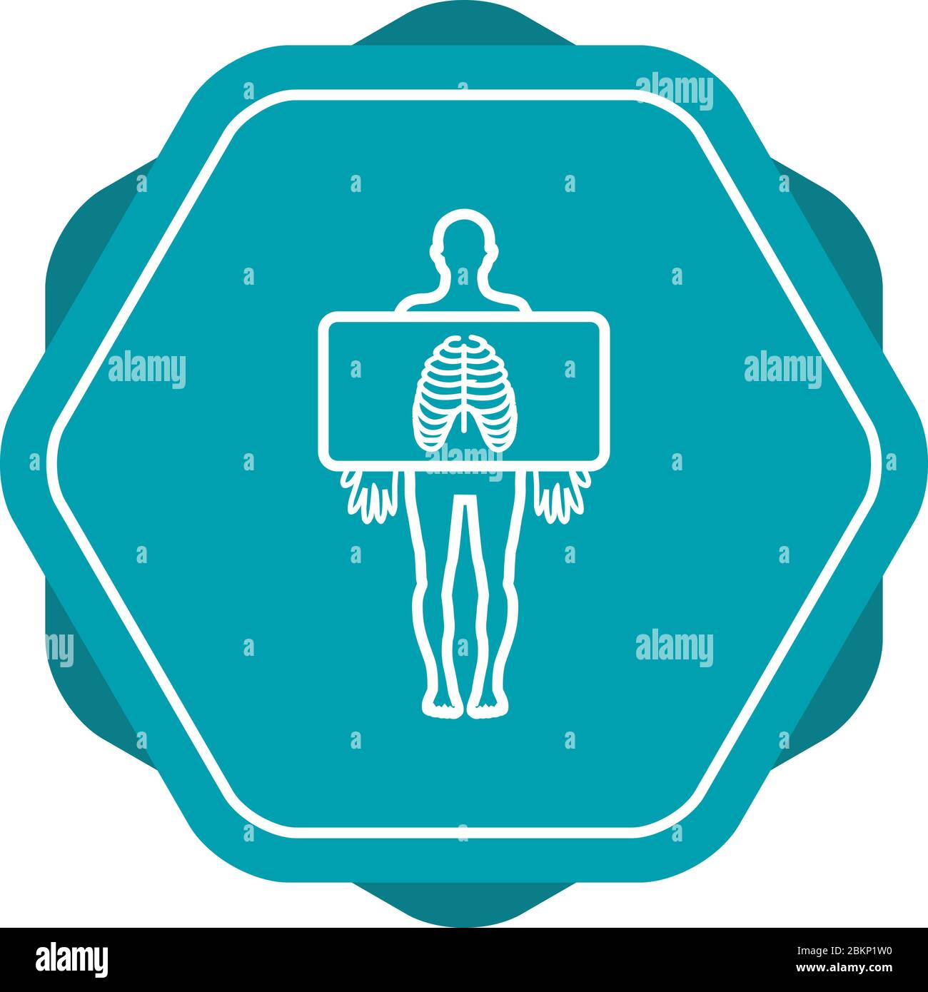 Chest X ray vector line icon Stock Vector Image & Art - Alamy