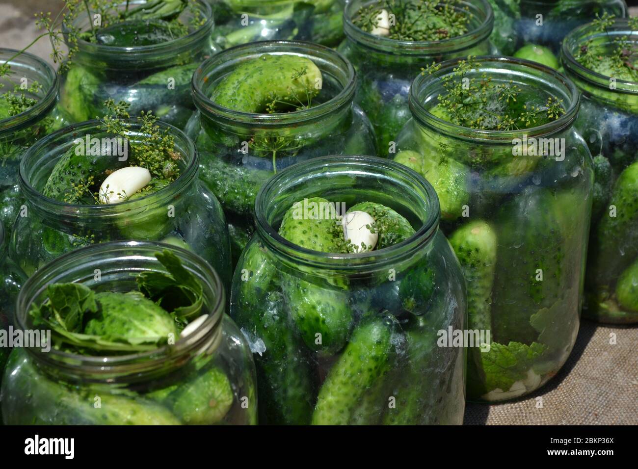 Blanks for the winter. Homemade. Natural. Village. Cucumbers in jars ...