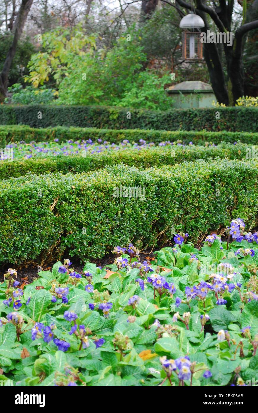 Landscape Green Formal Rose Garden Dutch Holland Park, Ilchester Pl ...
