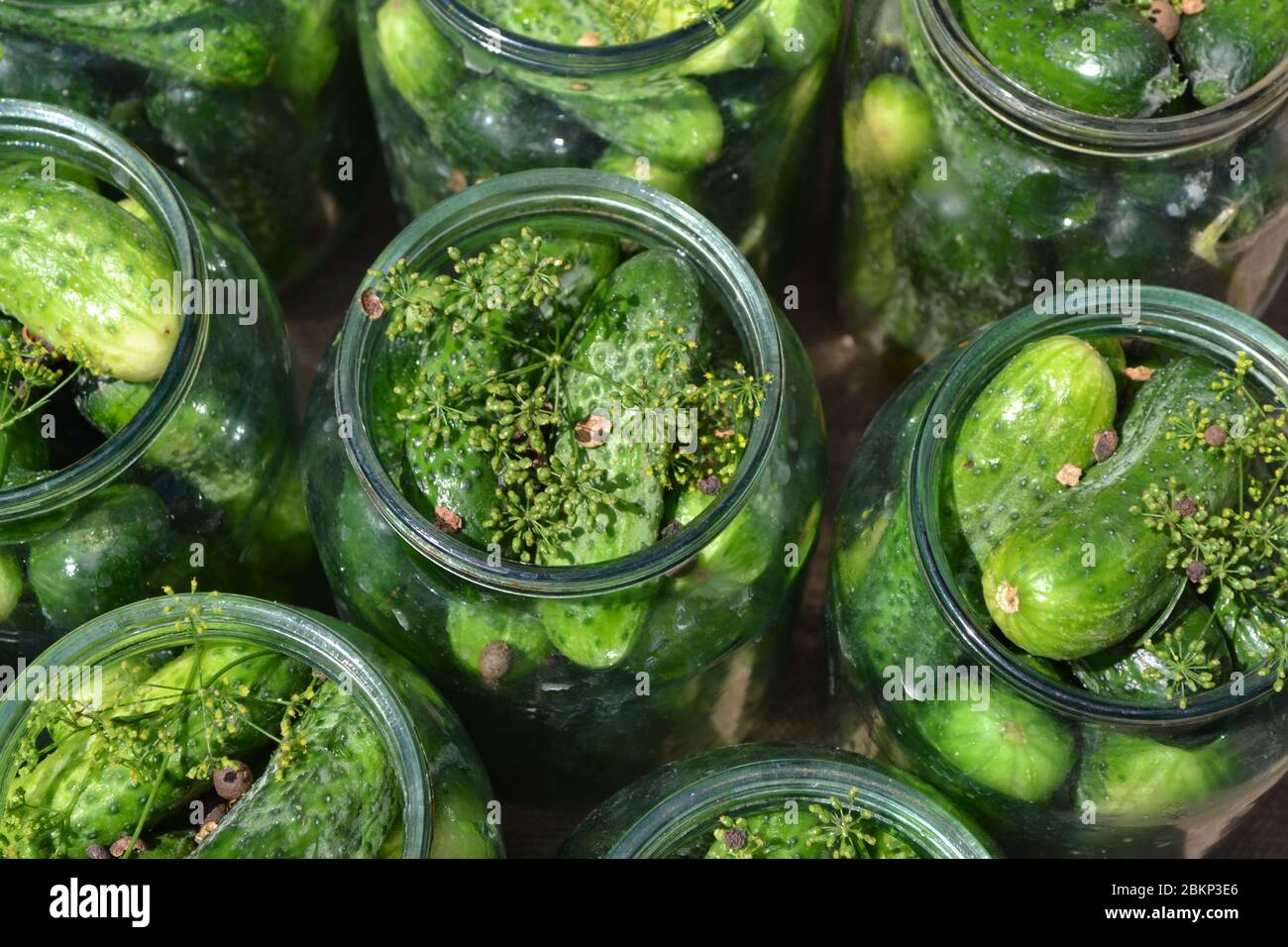Pickled cucu hi-res stock photography and images - Alamy
