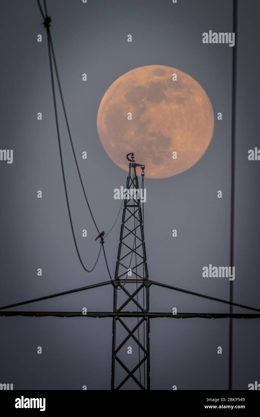 Setting Super Moon - power lines and towers in ftont of the super moon ...
