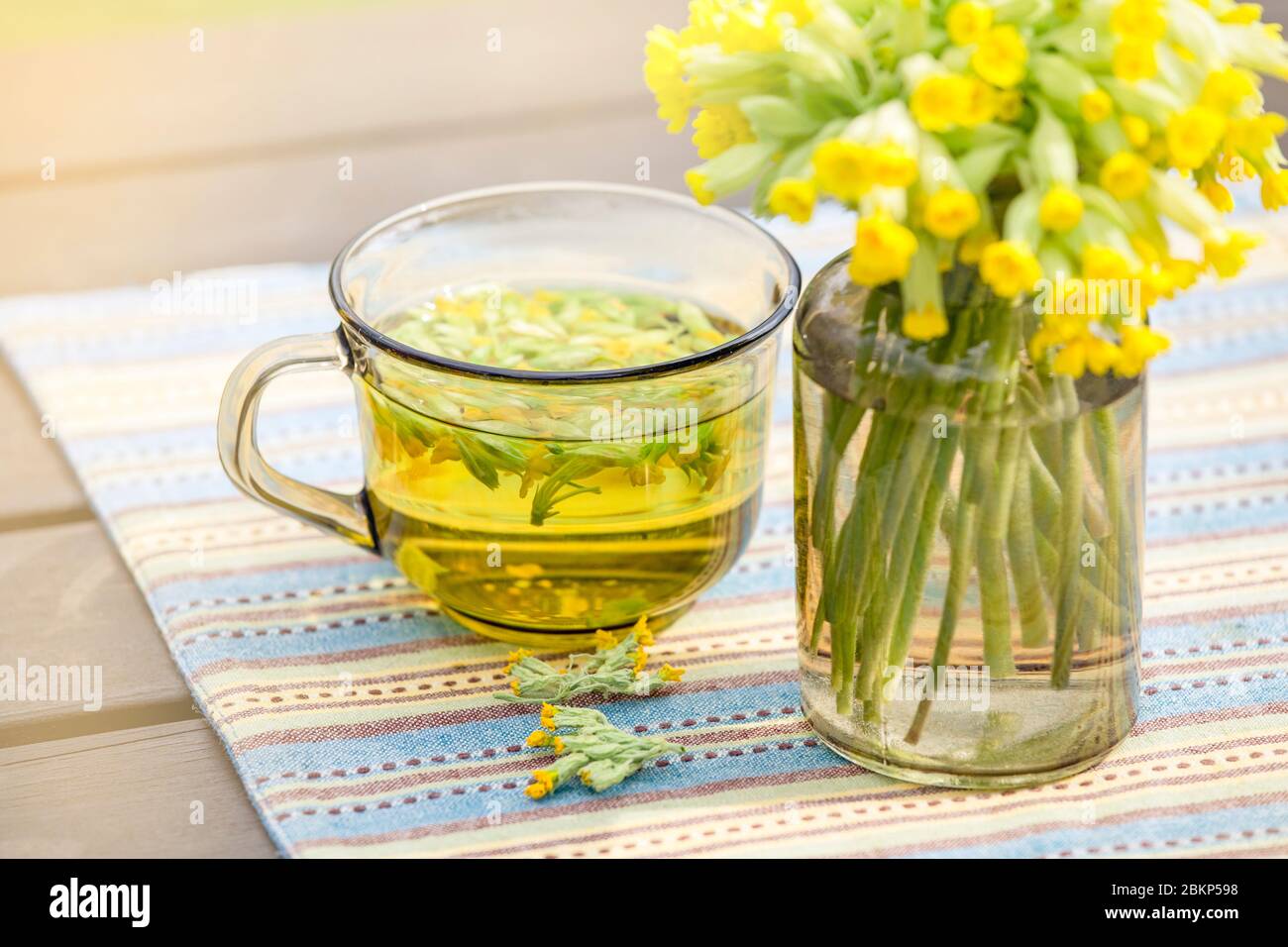 Cup of Primula veris tea (cowslip, common cowslip, cowslip primrose ...
