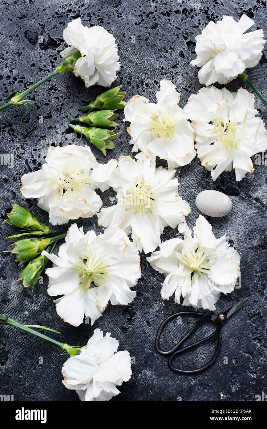 Overhead view of white carnation flowers on a grey surface next to a ...
