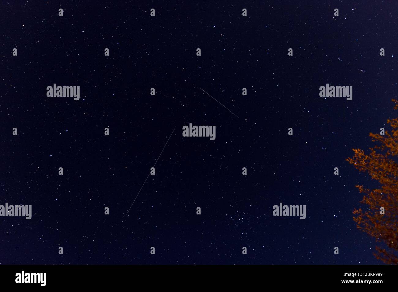 falling star and stars in the night Stock Photo - Alamy