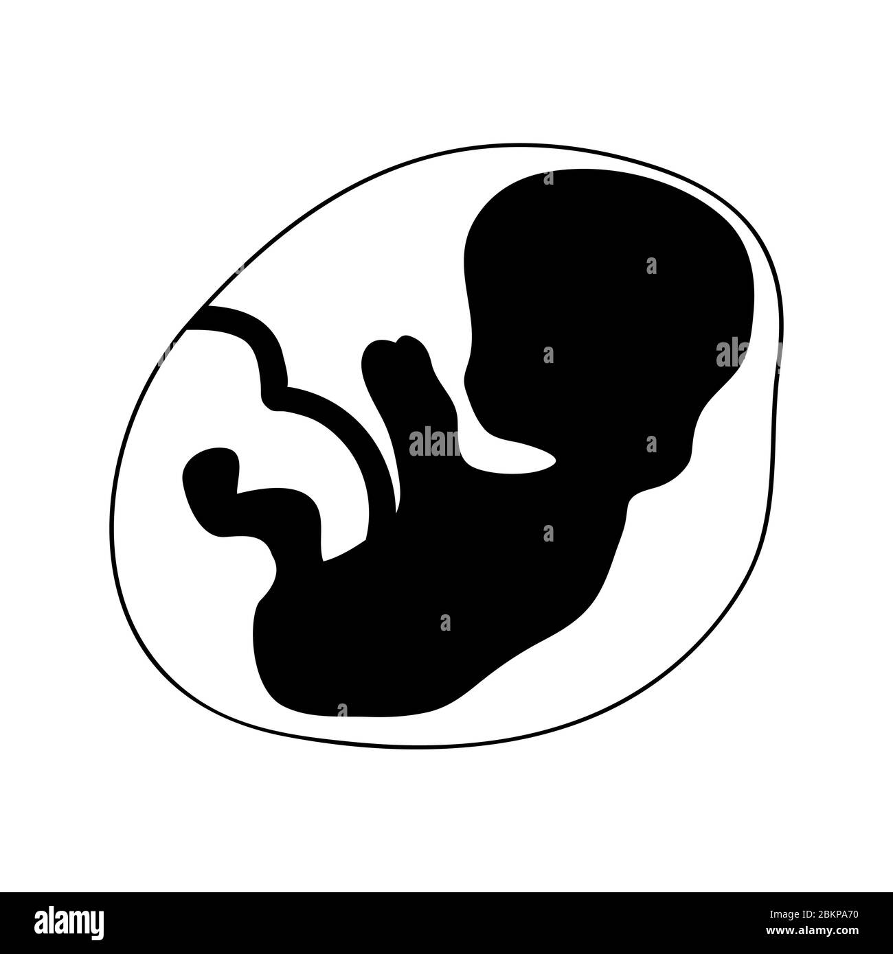 Fetus vector icon human child with placenta, minimalist vector ...