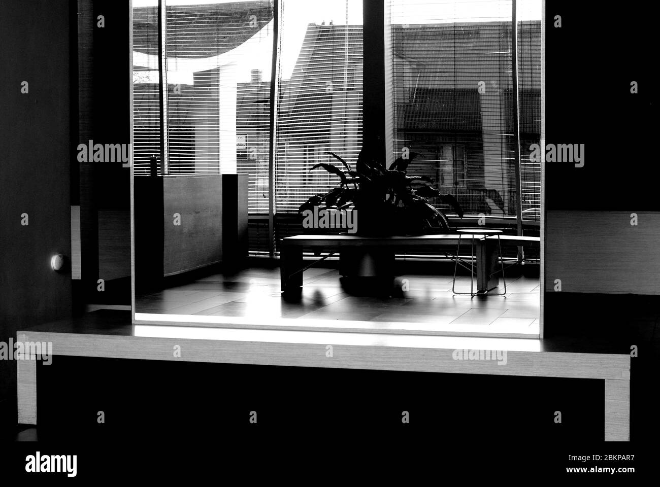 Home photography project Black and White Stock Photos & Images - Alamy