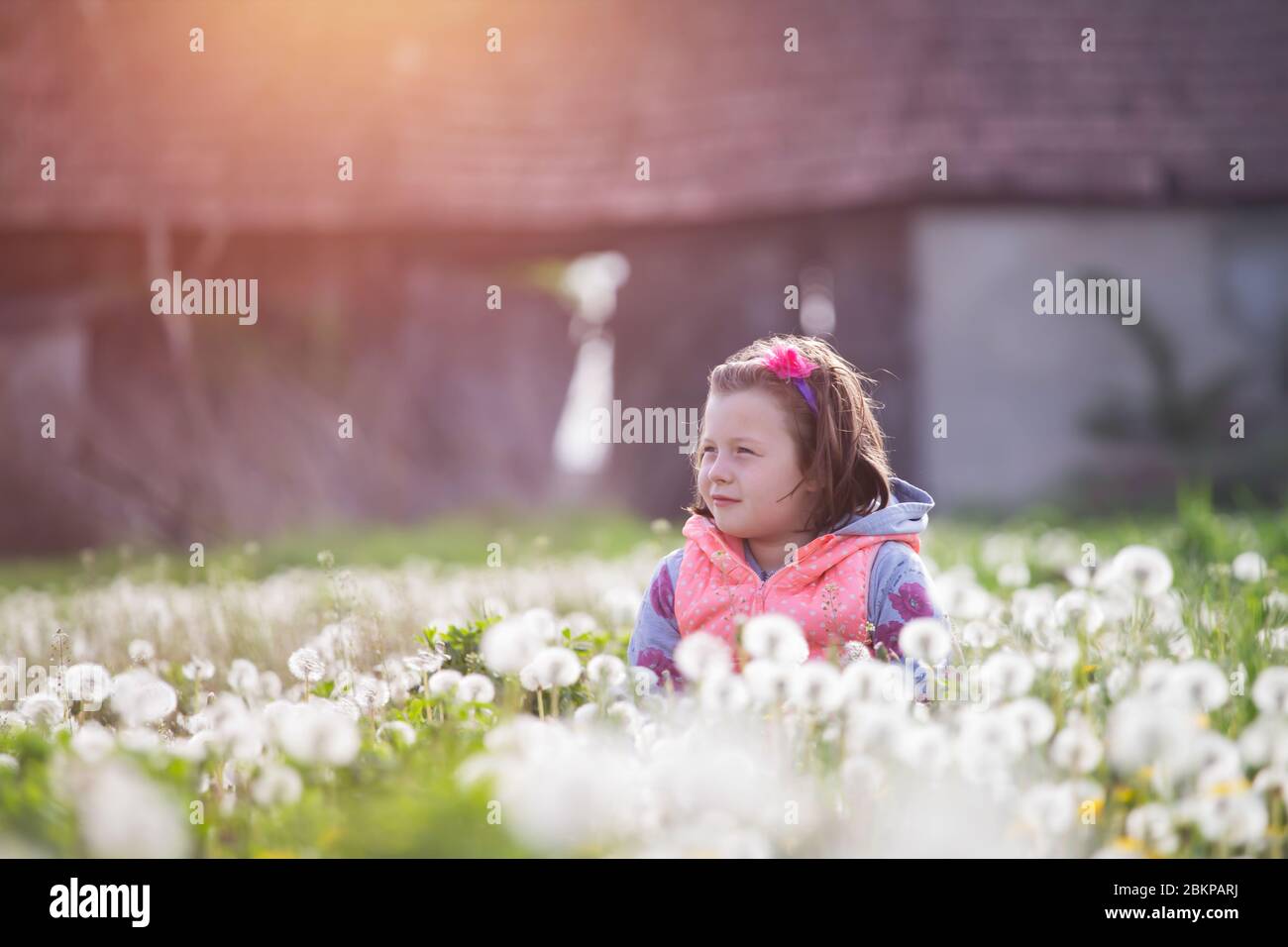 Sweet little girl in spring dandelion field Stock Photo - Alamy