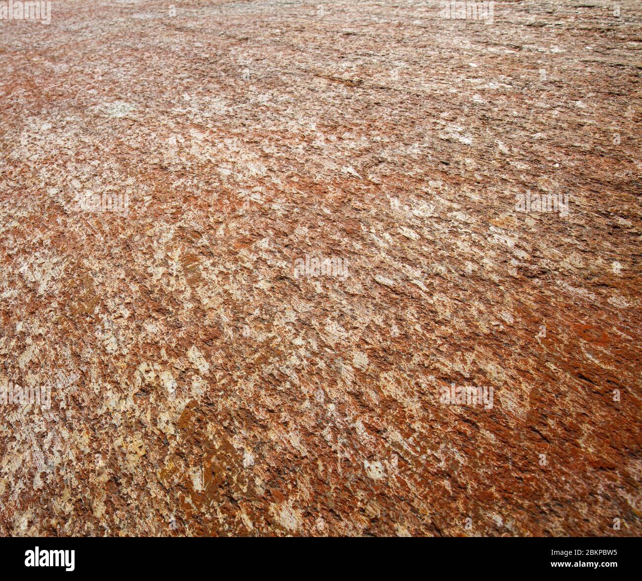 Bedrock surface covered with orange red algae ( Trentepohlia iolithus ...