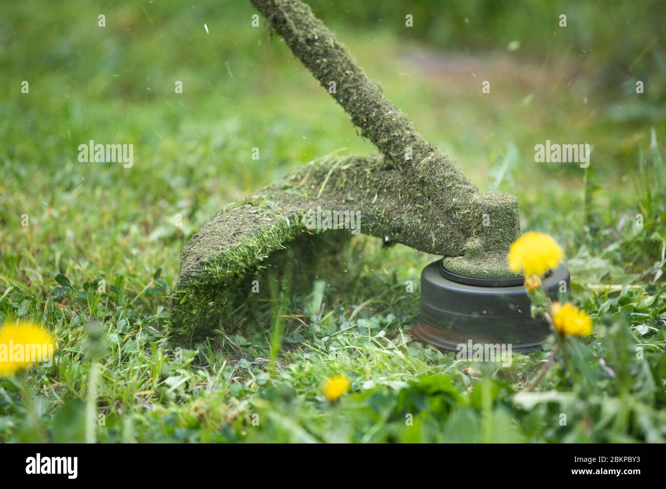 Mowing a lawn with a lawn mower. Garden work concept background Stock ...