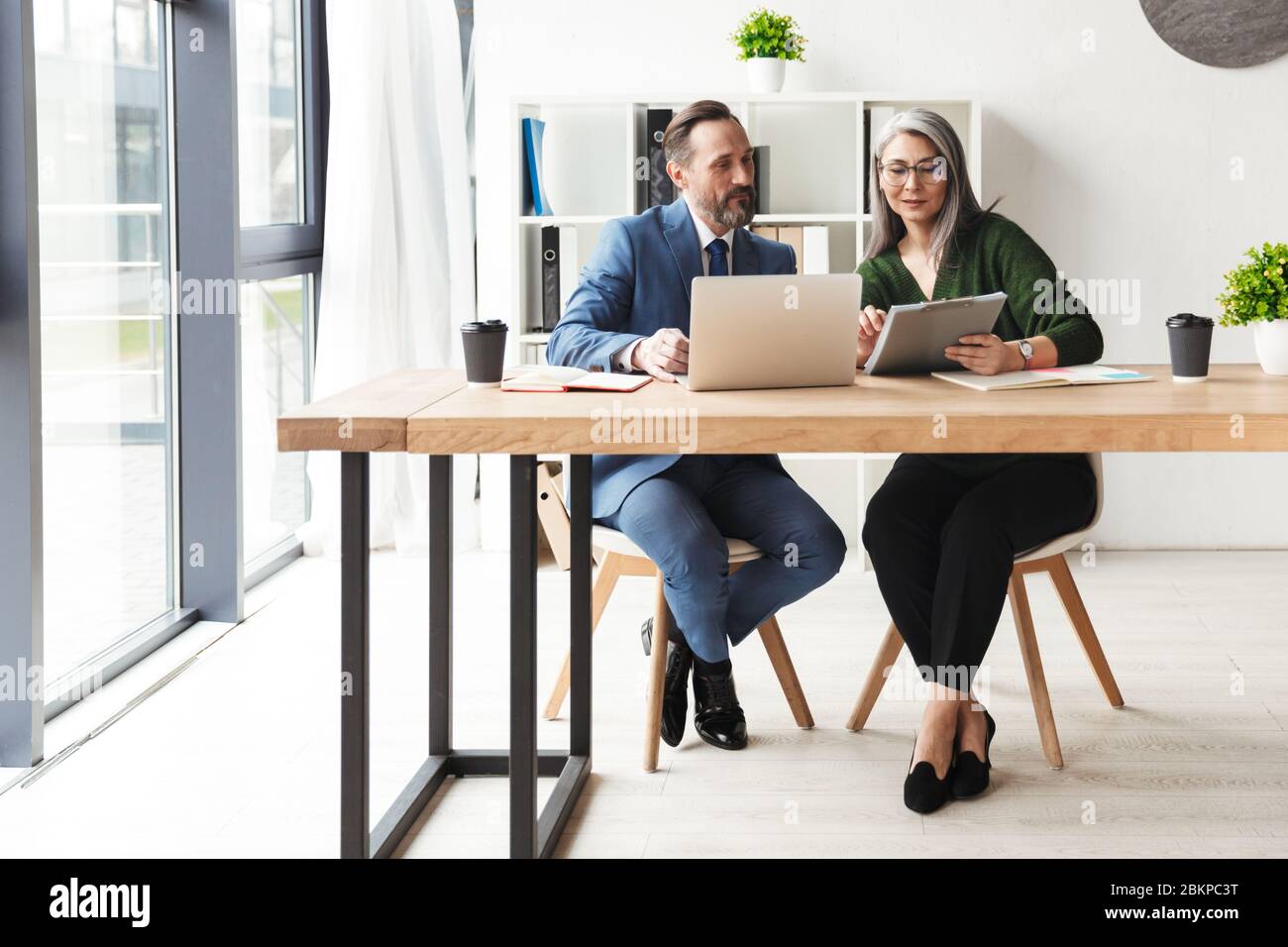 Photo of adult focused colleagues talking while working with laptop and ...