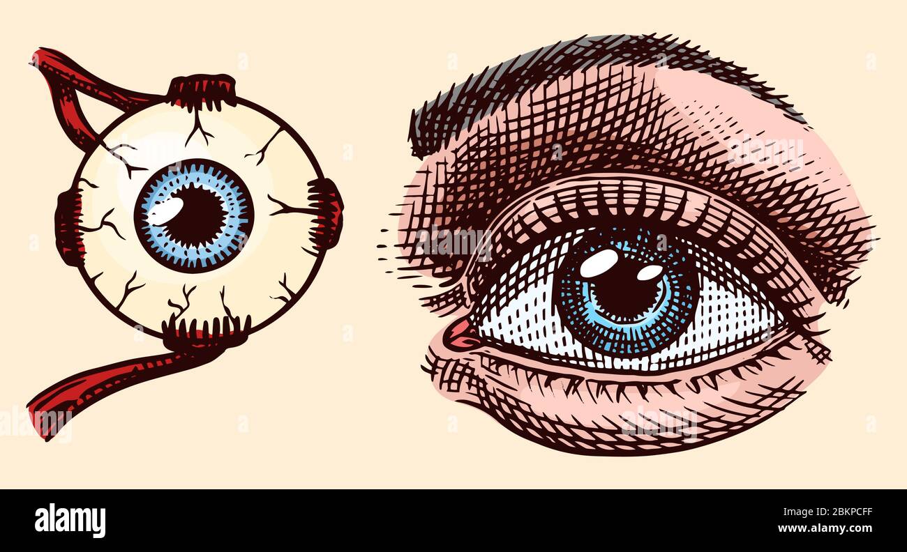 The human eye of the left side of the face. White sclera with blood ...