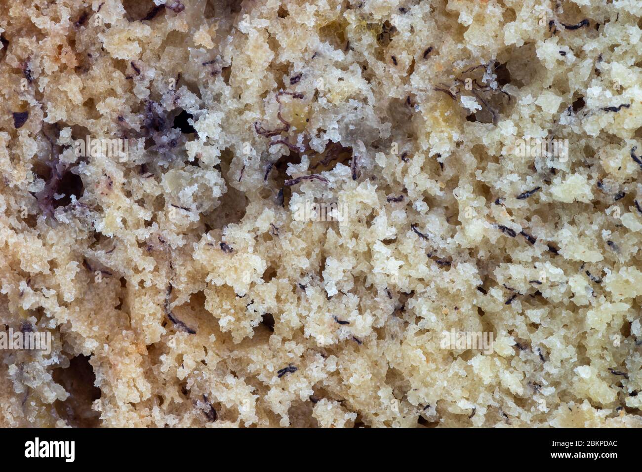 Macro view of quick bread texture with high level of detail Stock Photo ...