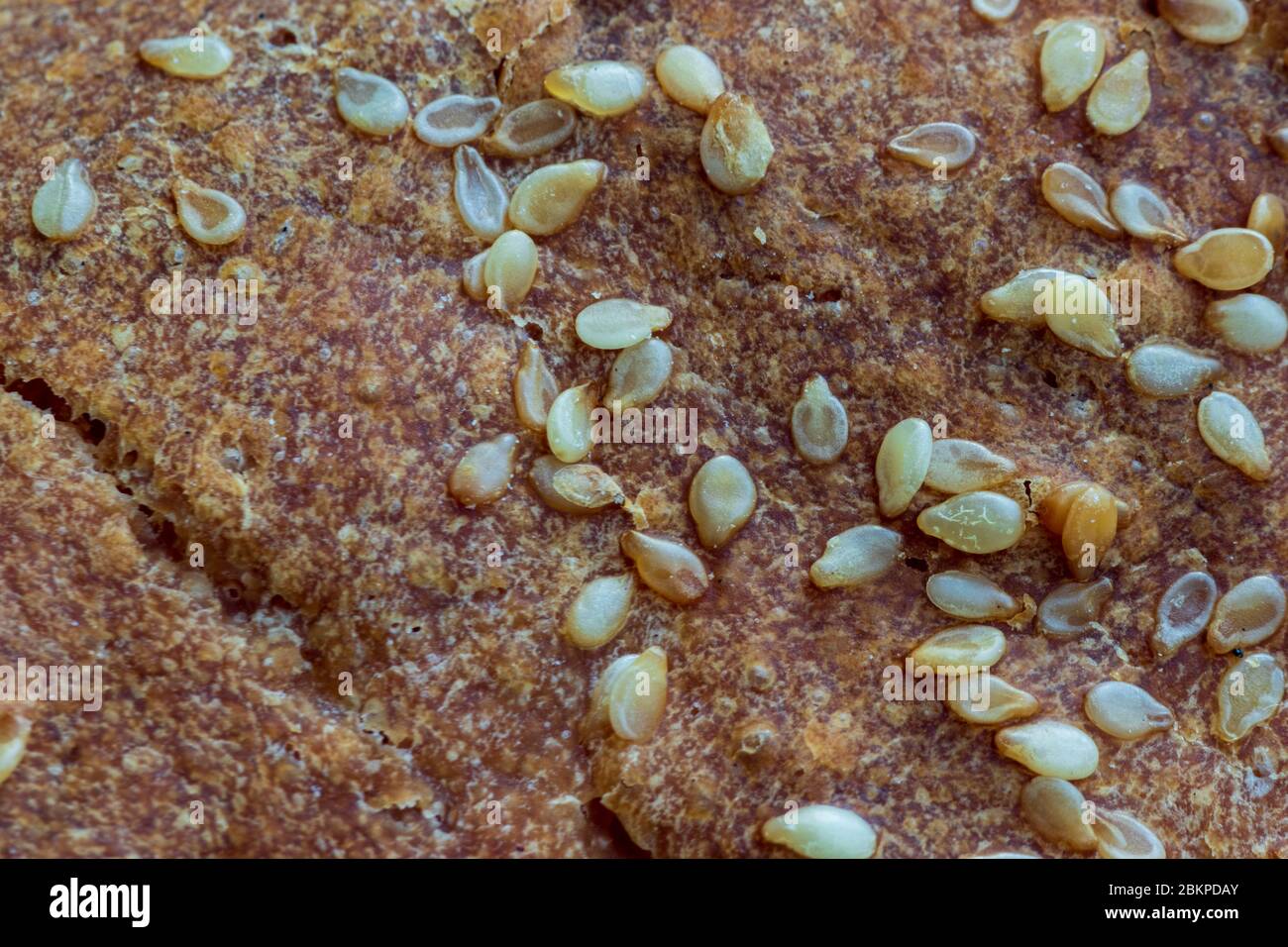 Golden brown bread crust close up with sesame seeds Stock Photo - Alamy
