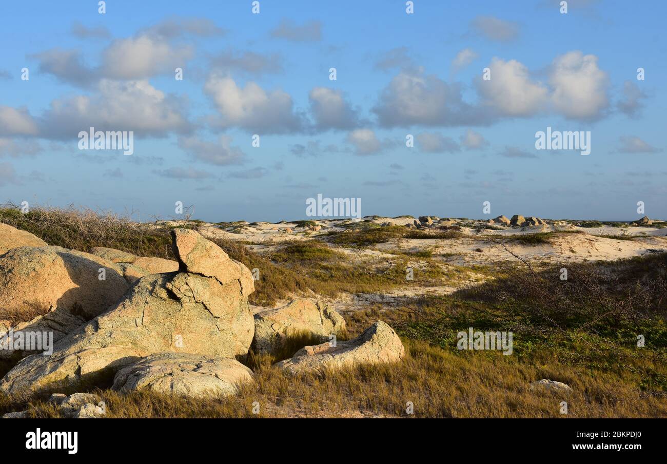 Aruba's windswept and sunny rugged landscape with sand dunes Stock ...
