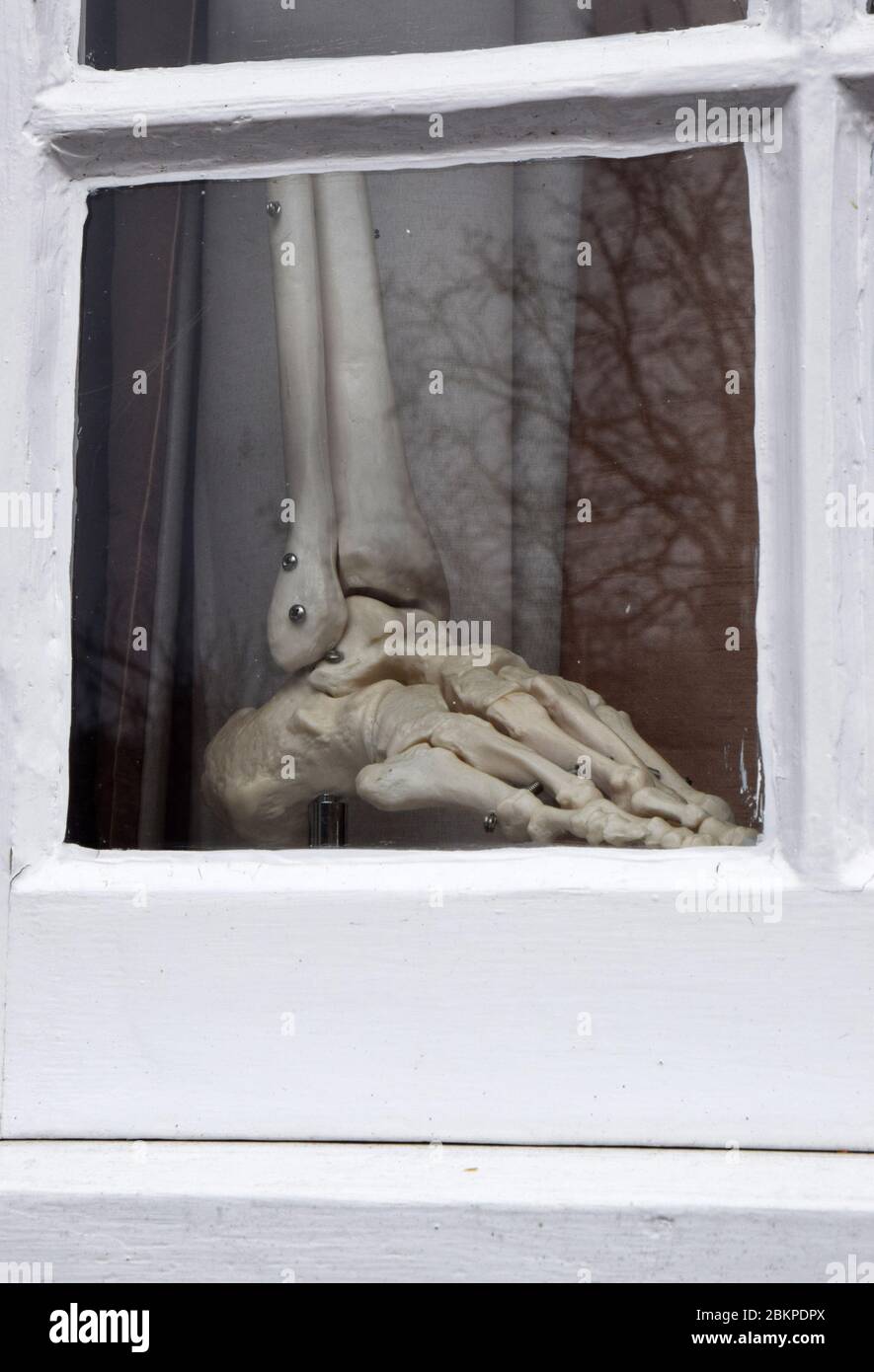 Skeletal foot in window Stock Photo - Alamy