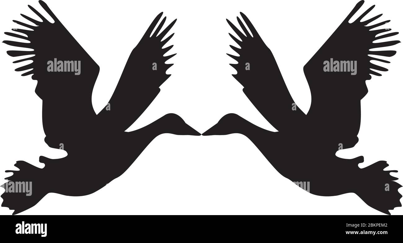 Birds living in water Black and White Stock Photos & Images - Alamy