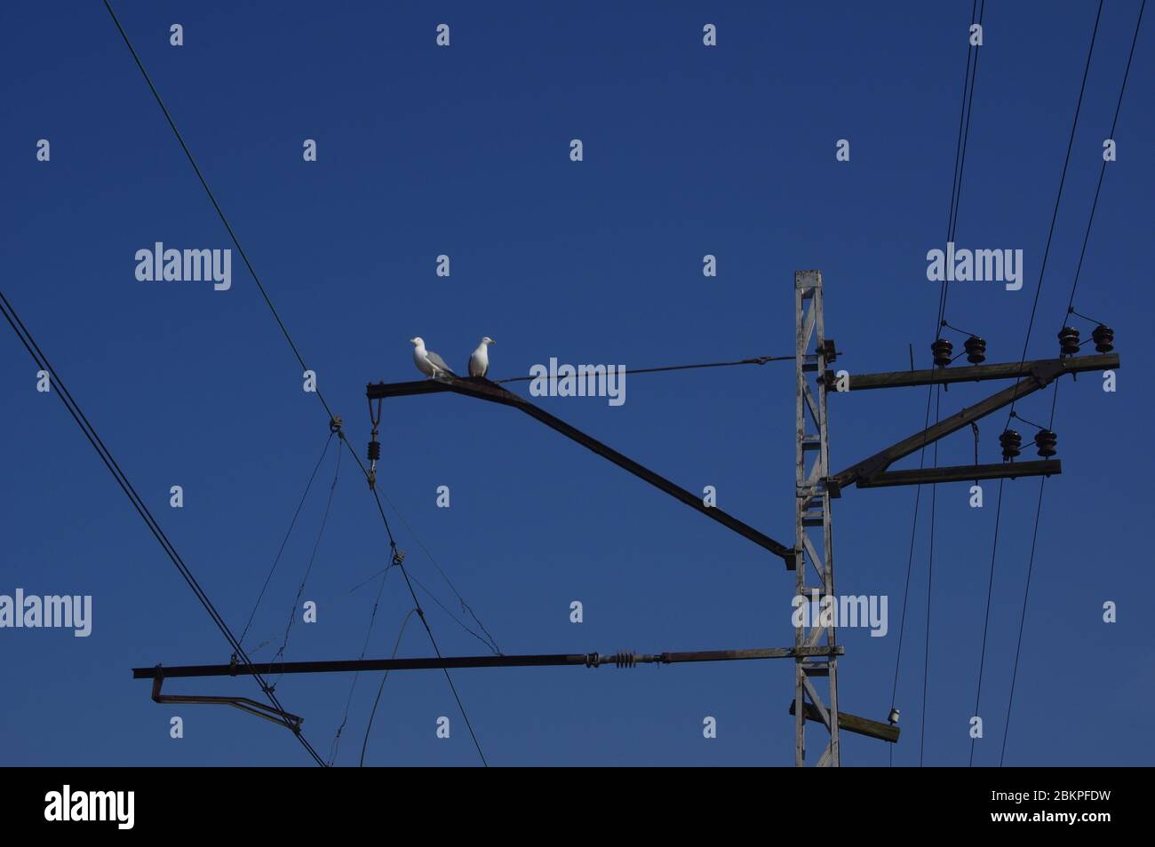 Overhead Power Supply For Electric Trains High Resolution Stock ...