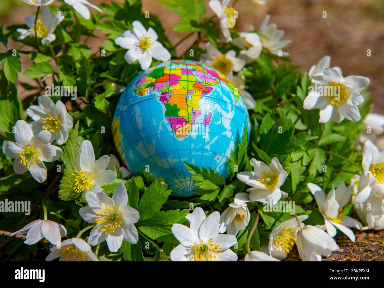 Environmental Pollution Flower High Resolution Stock Photography and ...