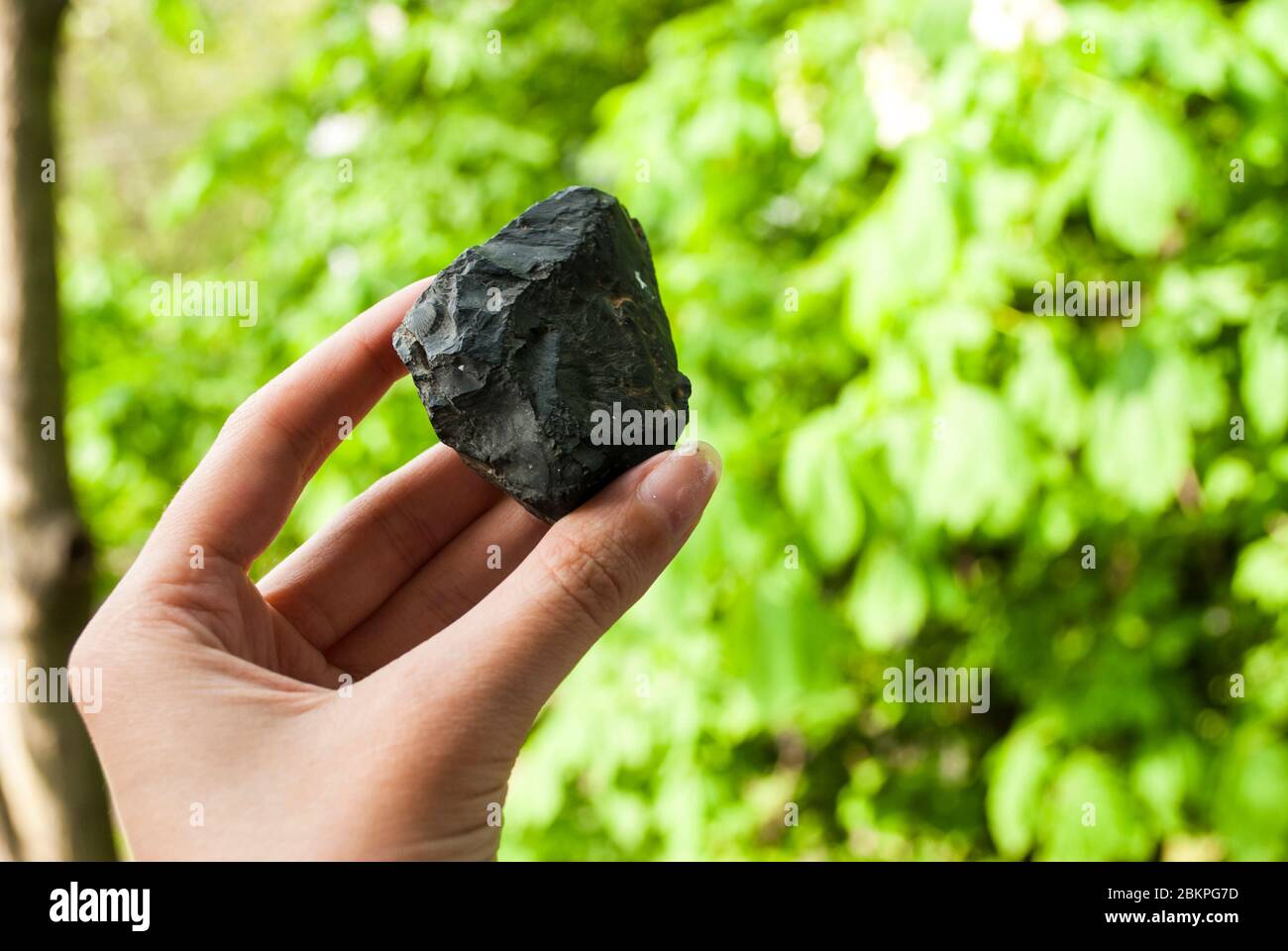 Coal. Natural crystal without processing on a green background. Place ...