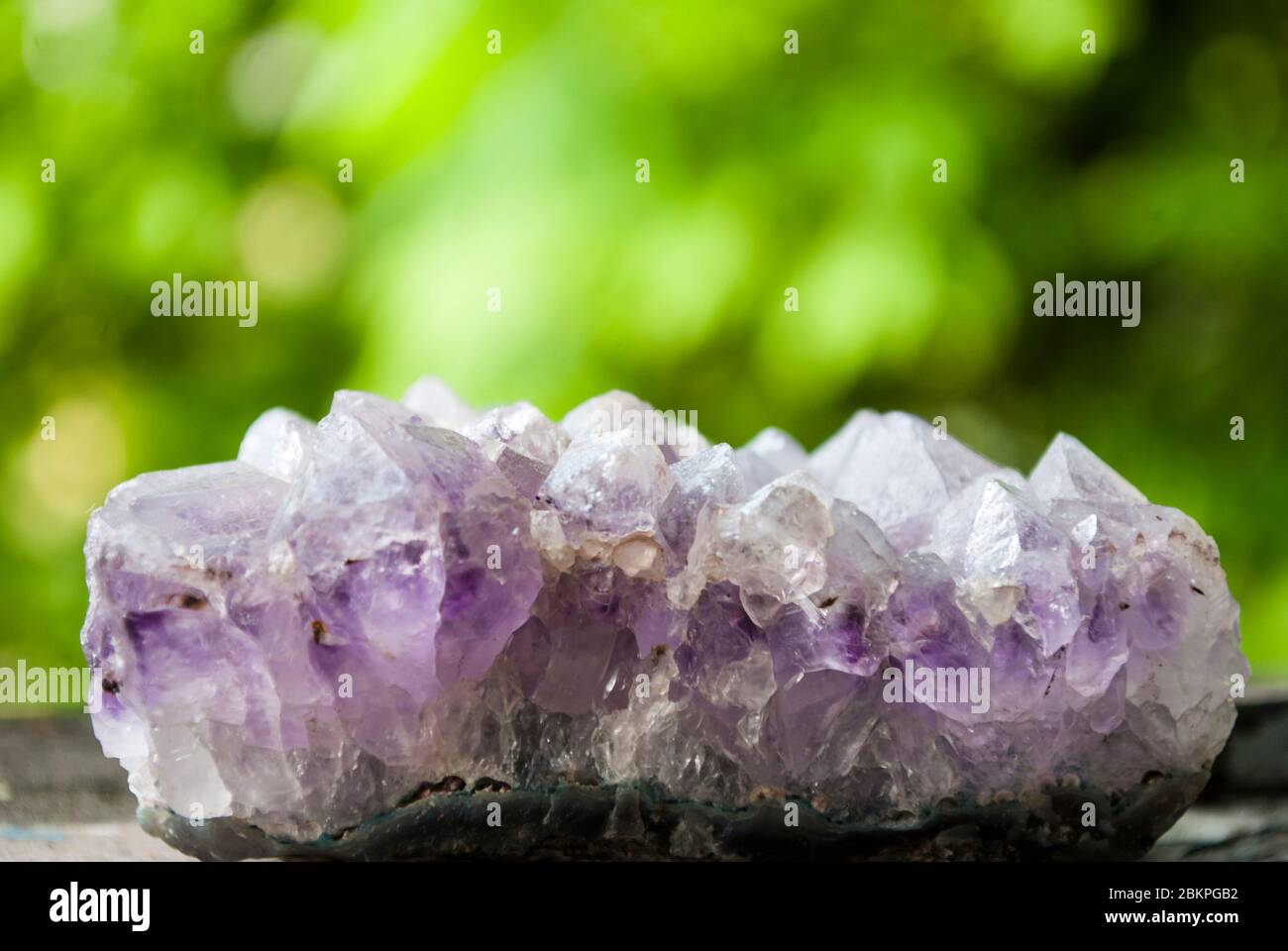 Amethyst. Natural crystal without processing on a green background ...