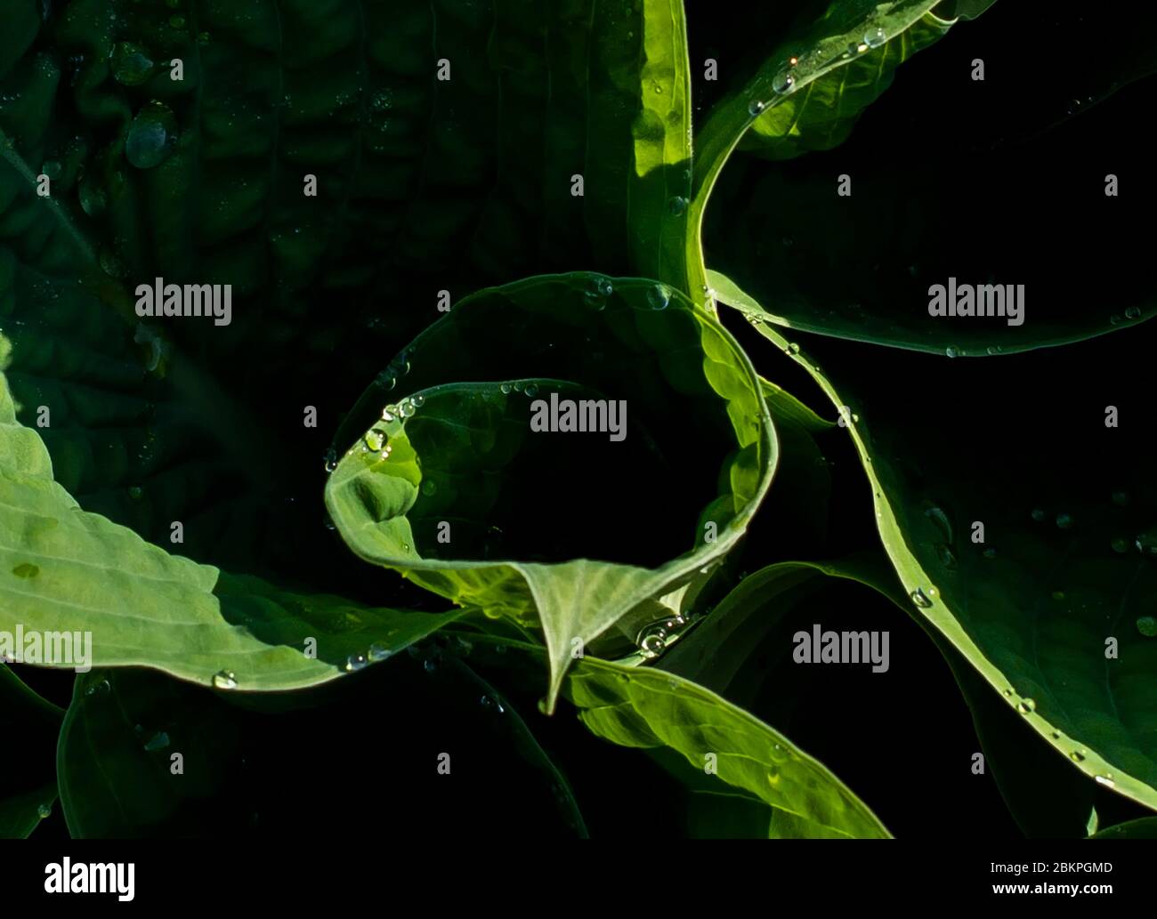 Shdadows hi-res stock photography and images - Alamy