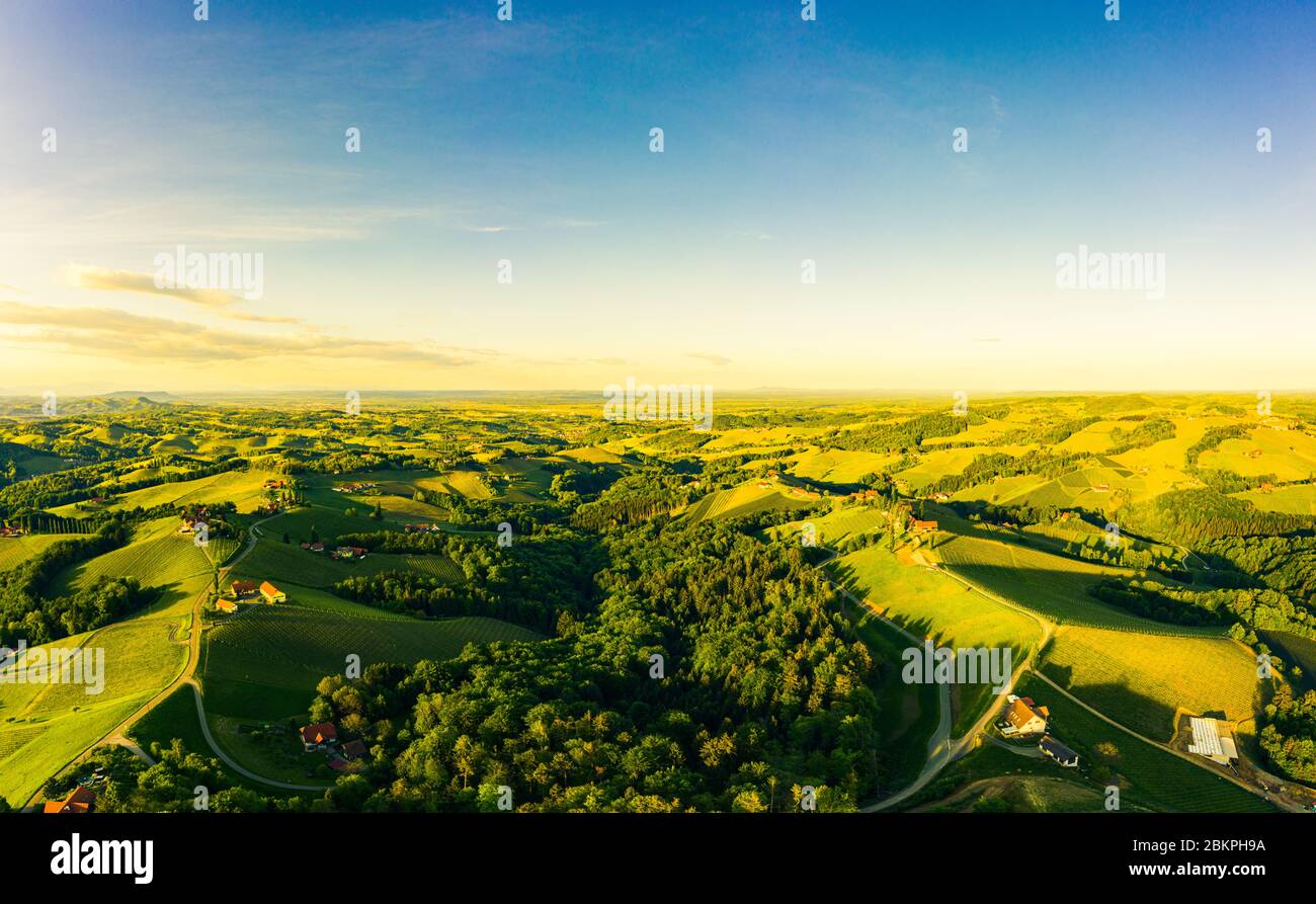 Gorgeous sunset over beautiful green vineyards. Aerial panorama sunset ...