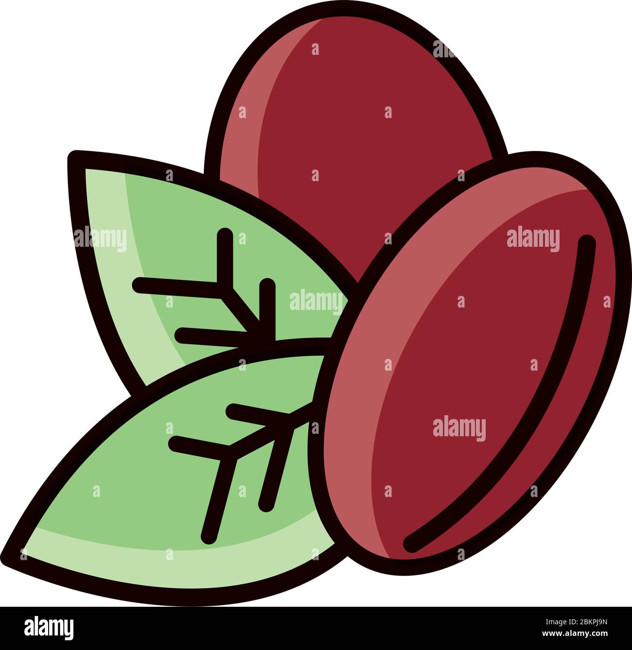 coffee seed leaves organic product vector illustration line and fill ...