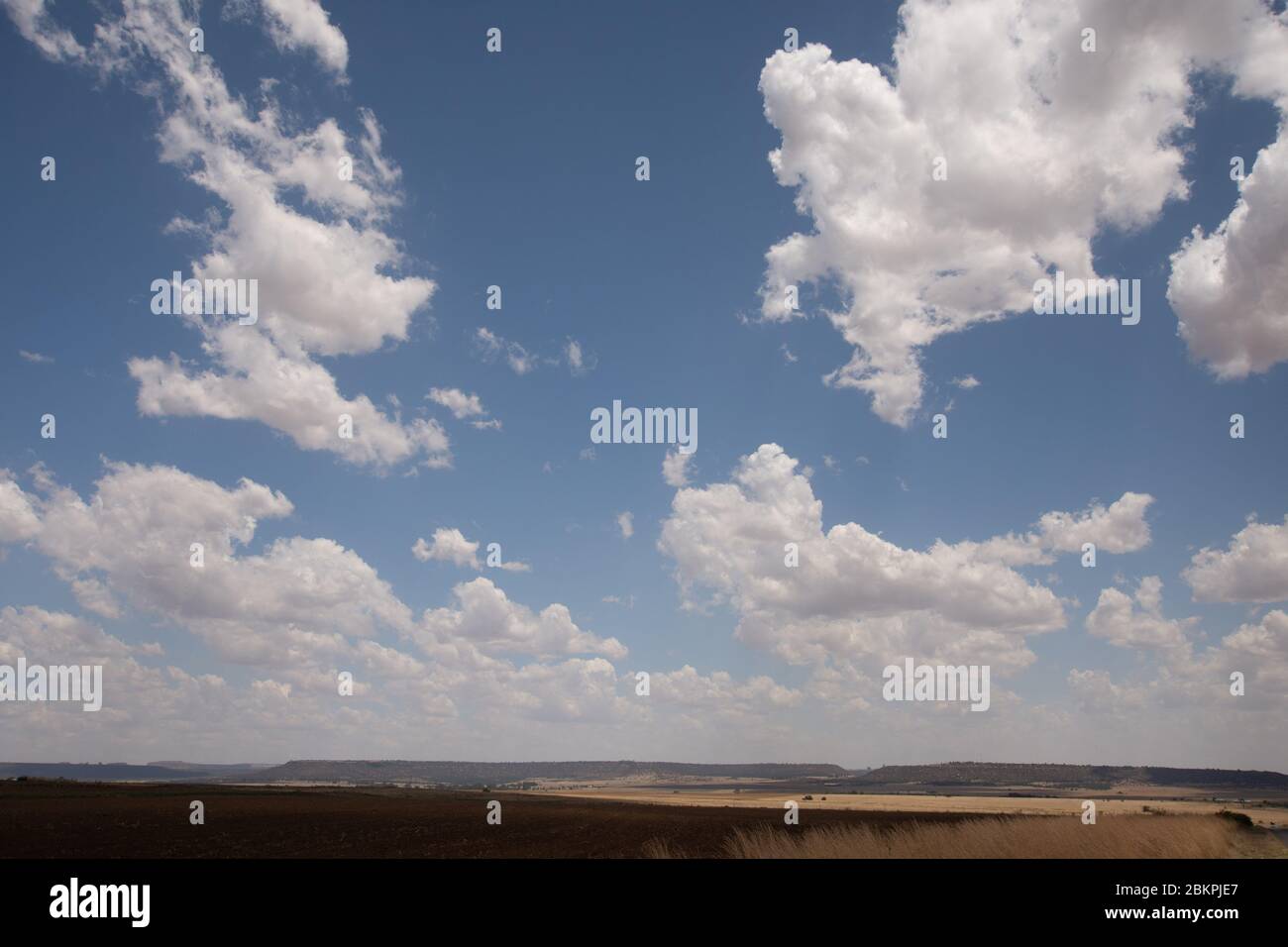 Open field with blue sky hi-res stock photography and images - Alamy