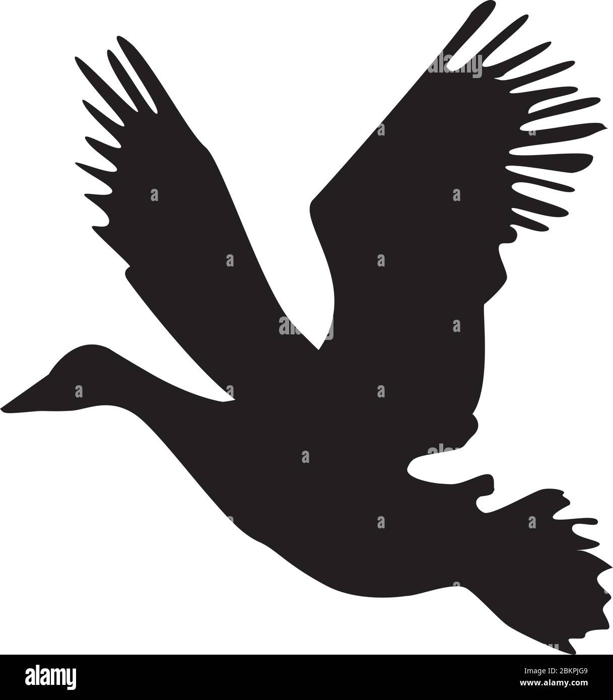 Fresh water birds Cut Out Stock Images & Pictures - Alamy