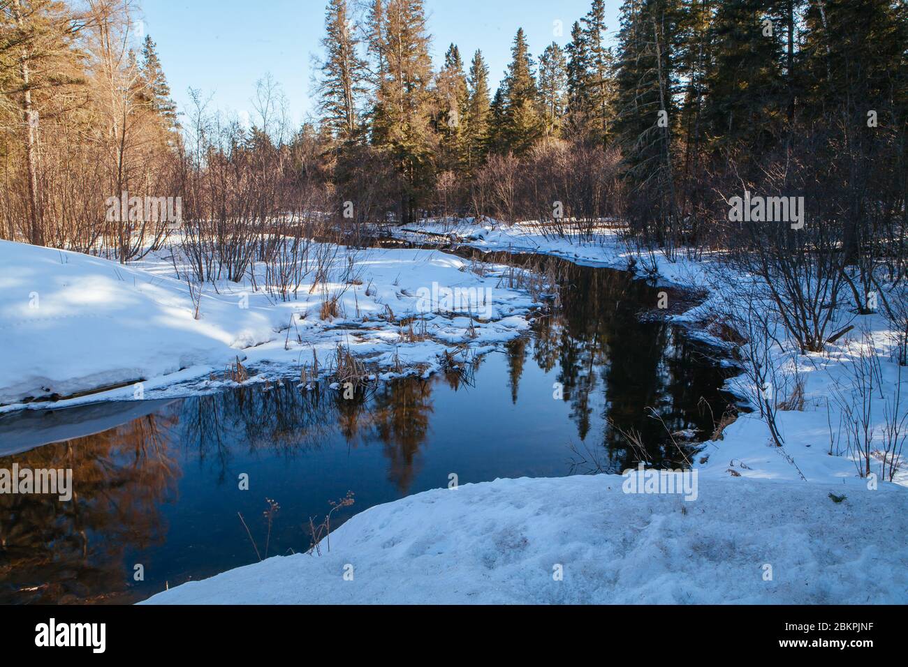 Mississippi Headwaters in Itsca National Park USA Stock Photo - Alamy