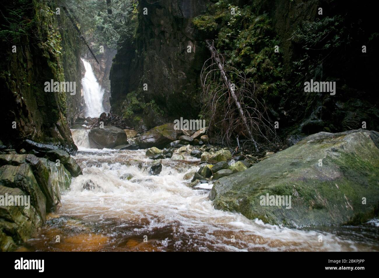 A remote creek and waterfall emptying into Smith Inlet in the Great ...