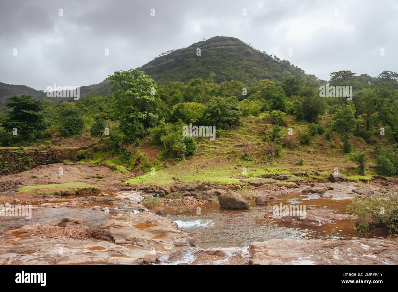 Rice field maharashtra india hi-res stock photography and images - Alamy